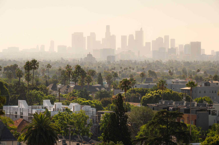 This city has the worst rat problem in the US.—and no, it's not New York