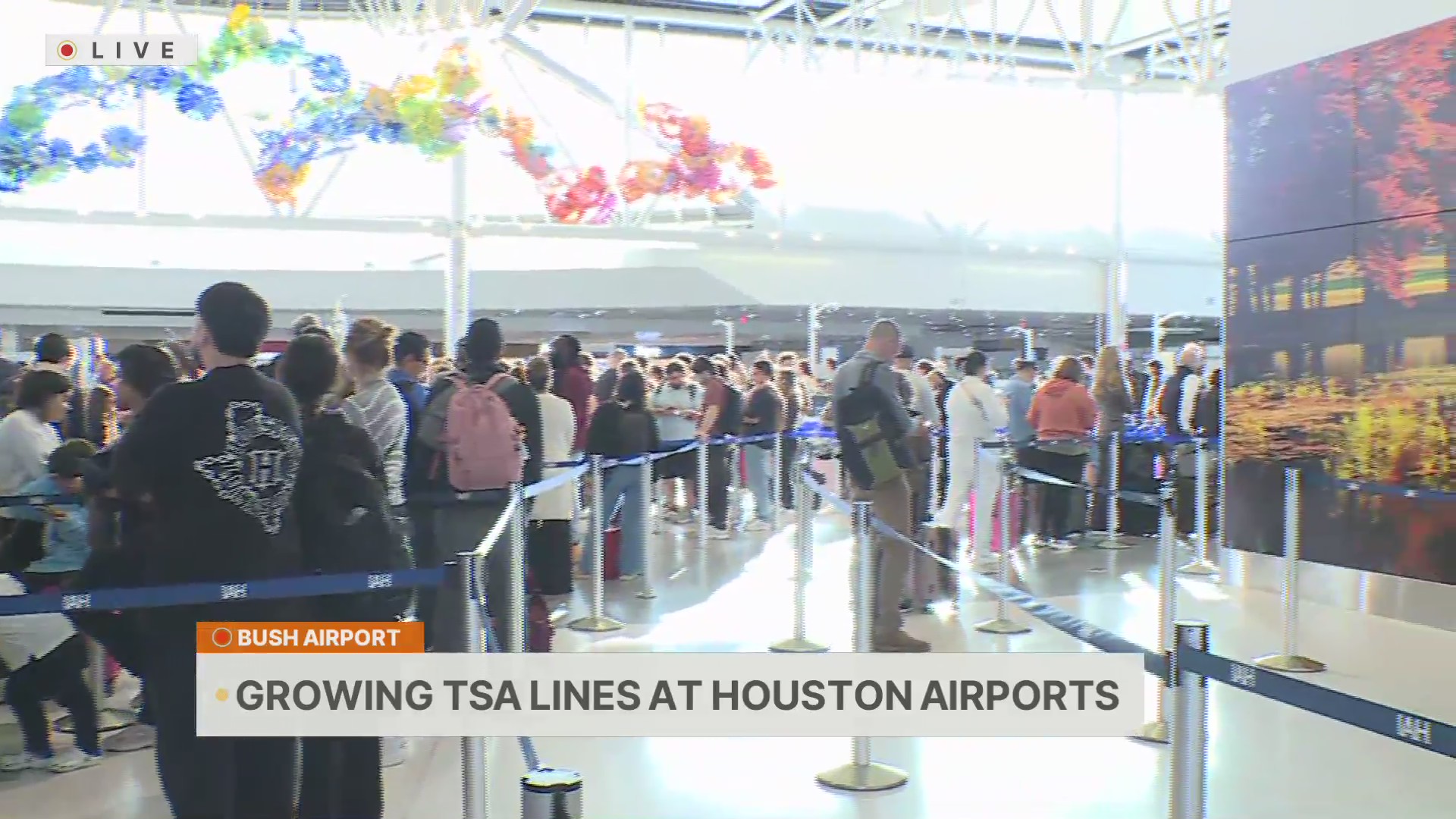 Arrive 4 hours early for growing TSA lines in Houston