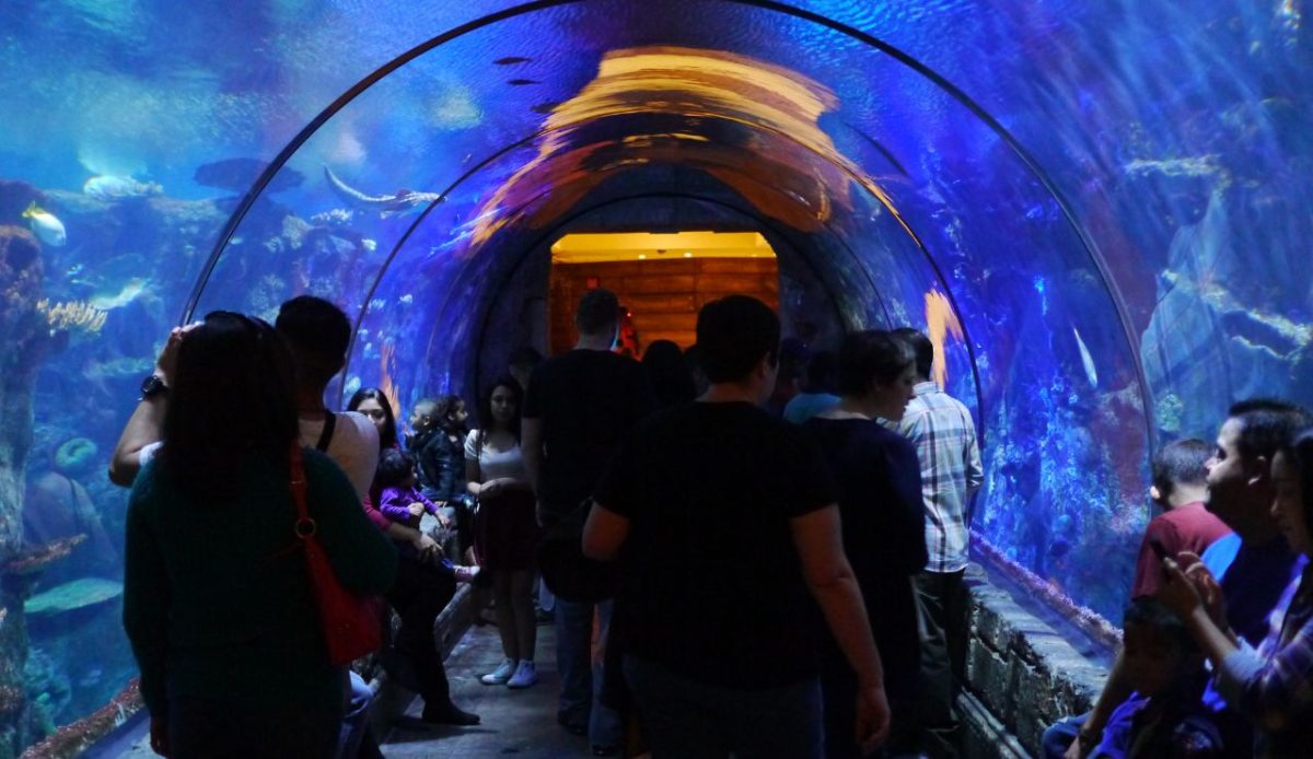 9 Fun Things to Do in Las Vegas With Kids That Go Beyond Casinos