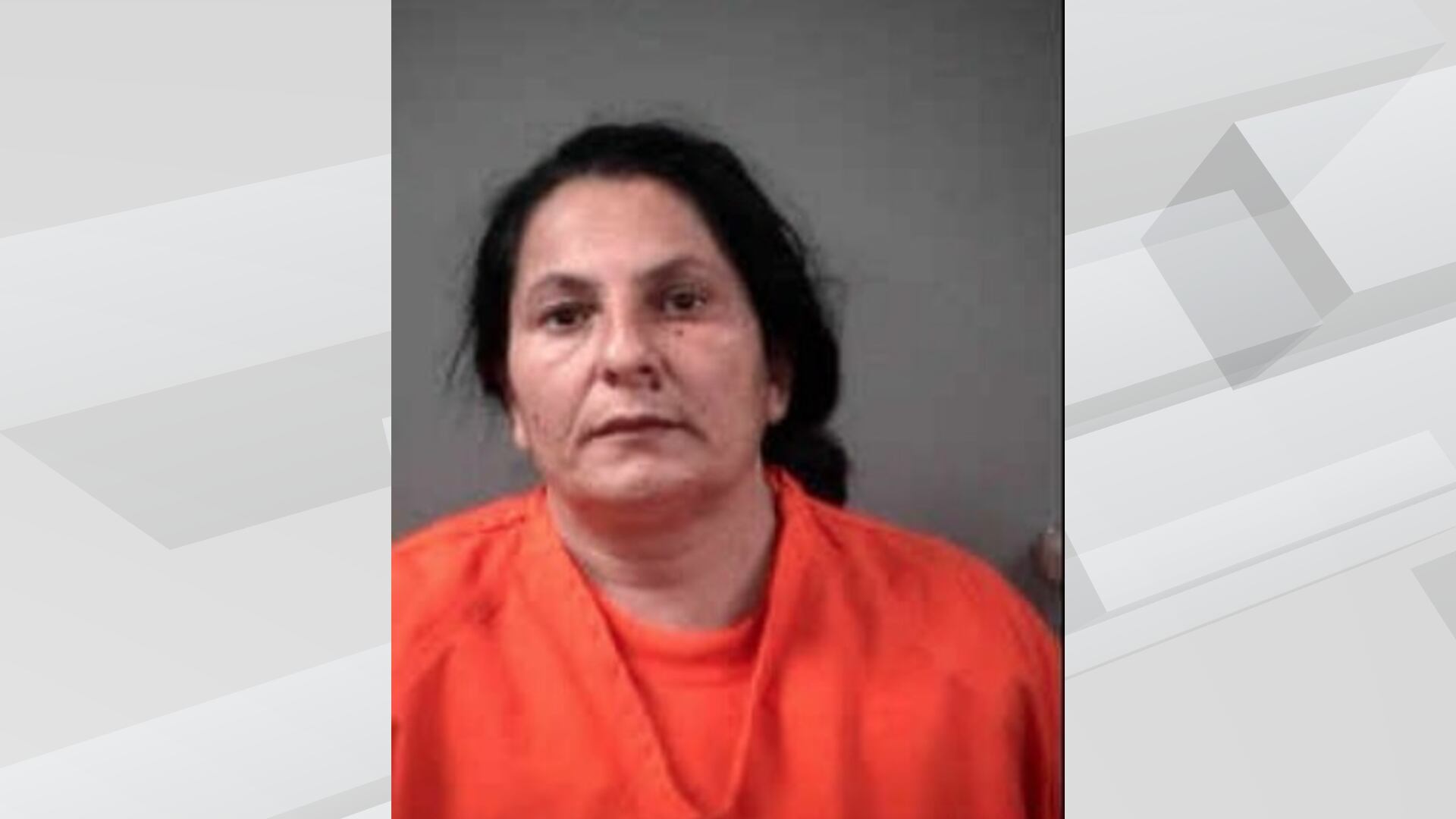 Romanian woman arrested in Langdon facing federal immigration charges