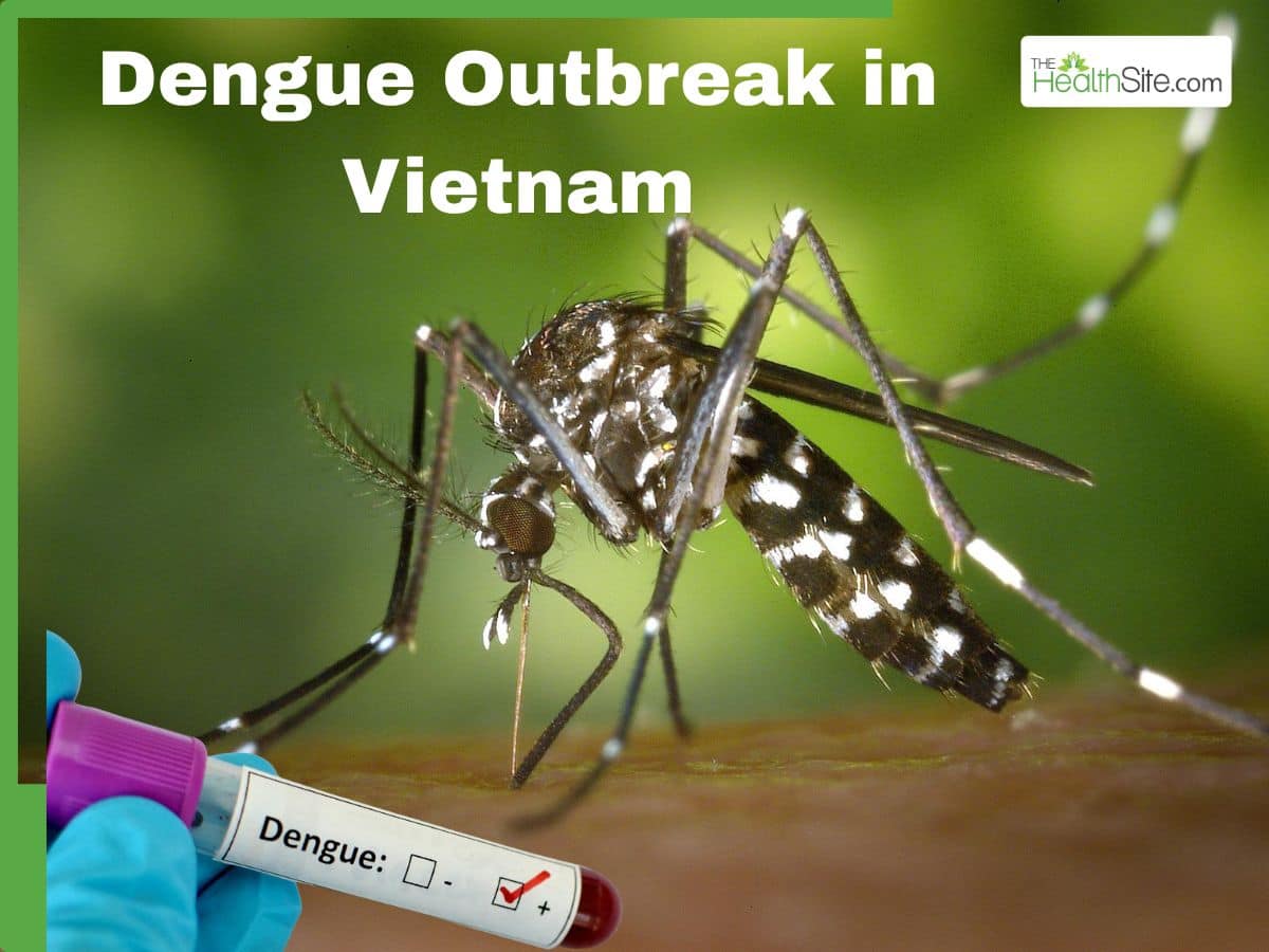 Dengue Outbreak in Vietnam: 336 Confirmed Cases in Hanoi as Heavy Rains Turn Capital into ...
