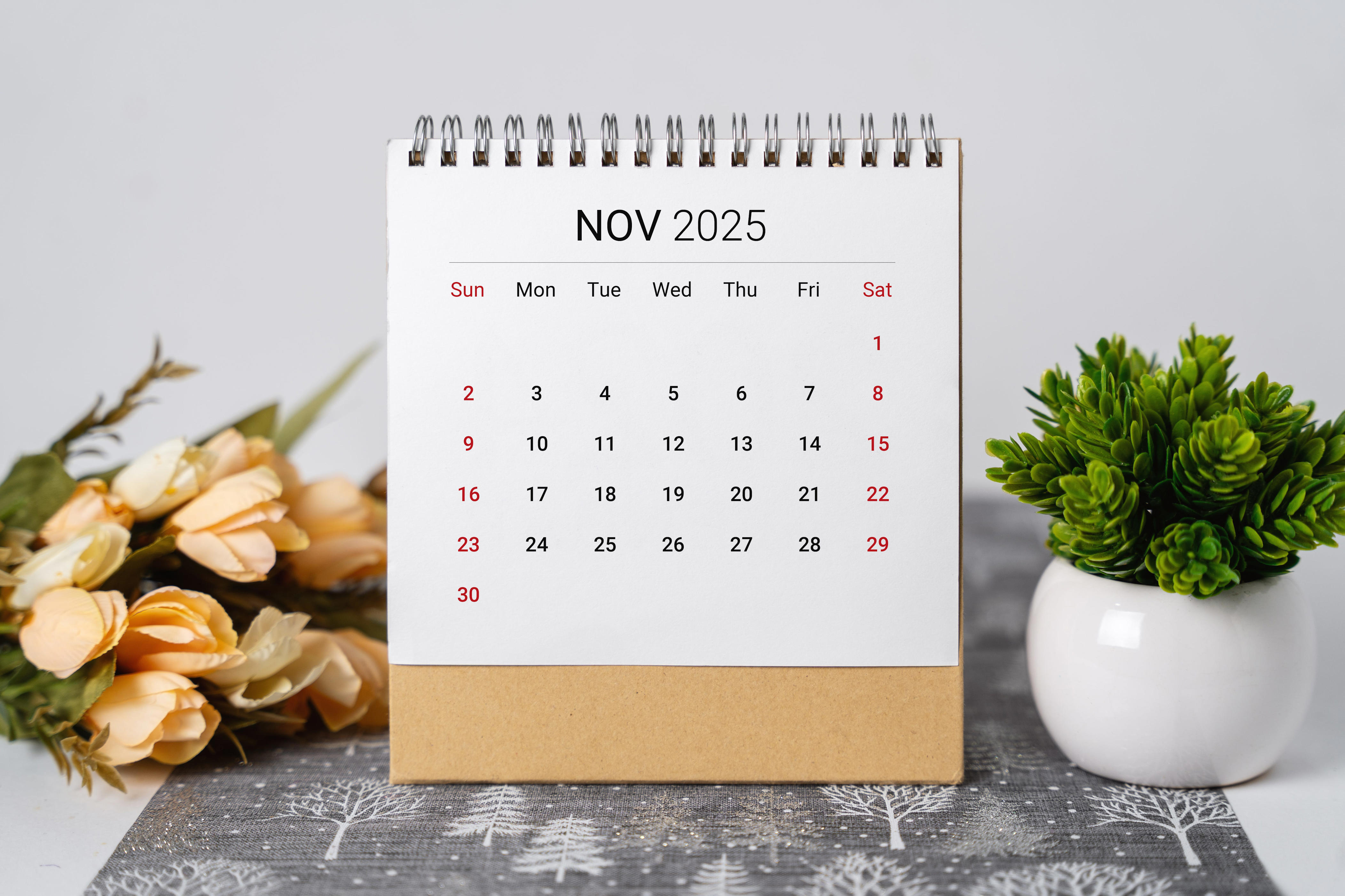 November 2025 calendar includes Thanksgiving, Veterans Day, more
