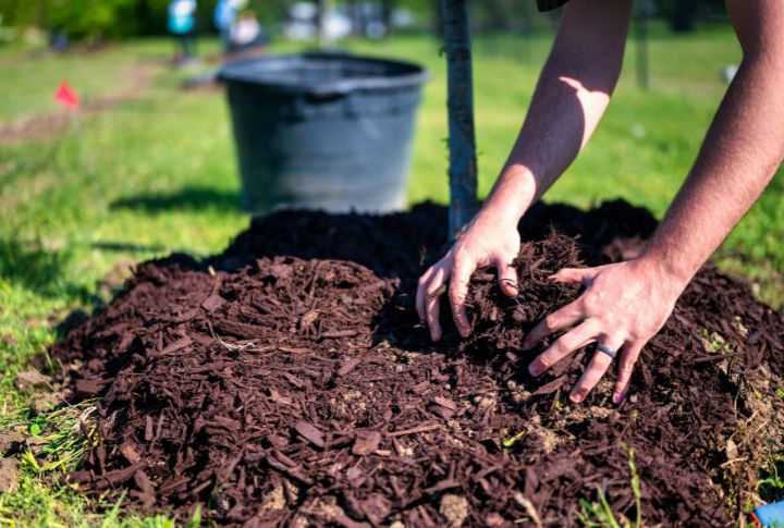20 Quick Outdoor Fixes For A Pro-Level Landscape