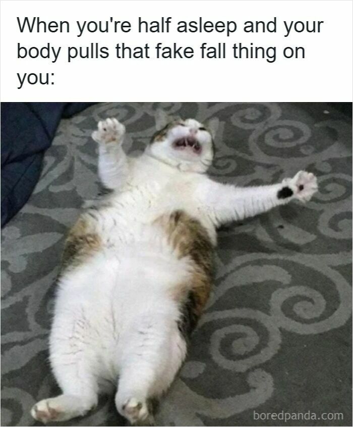 41 Hilarious Memes That Hit Different When You’re Still Awake At 4 AM ...