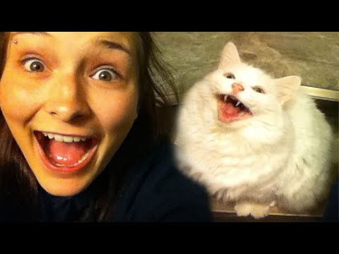 Funniest cat and human moments guaranteed to make you happy