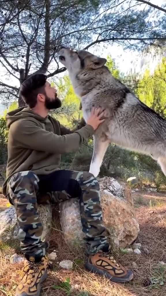 Instinct