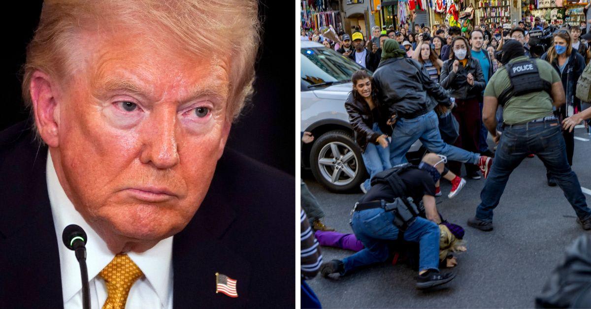 'Evil' Donald Trump Slammed for Declaring ICE Raids 'Haven't Gone Far ...