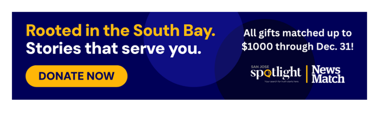 Silicon Valley candidate’s lofty campaign ideas scrutinized