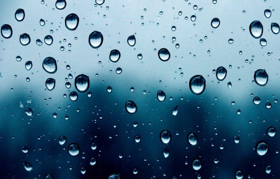 Windy warm-up Friday with rain showers