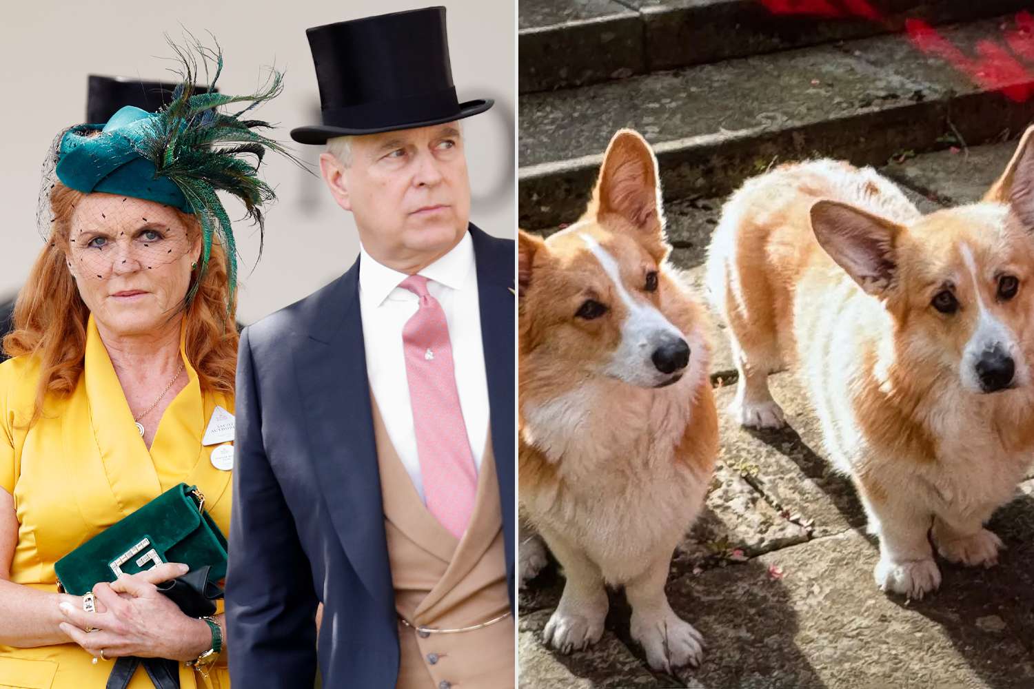 Palace Reveals What Happens to Queen Elizabeth's Corgis, Who Were ...