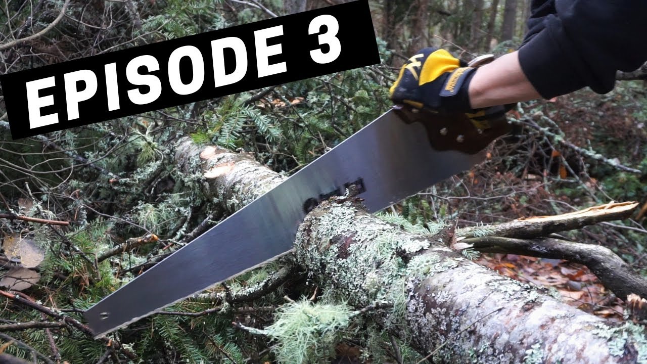 Building a log cabin | Ep. 3 | Battling carpenter ants and honing our ...