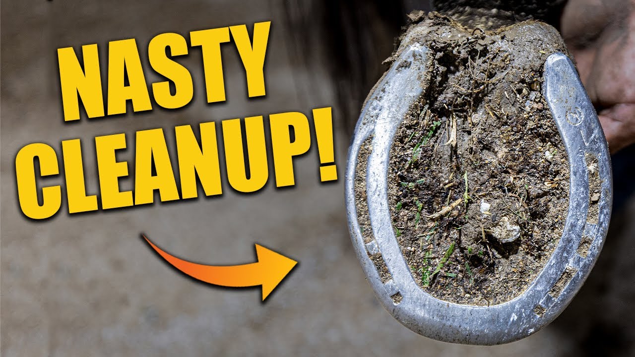 I cleaned a hoof that was a total mess! 🐴