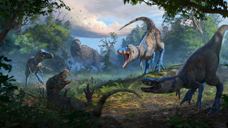 The Twisted Tale of the Tiny Tyrannosaur, Teenage T. Rex or Something ...