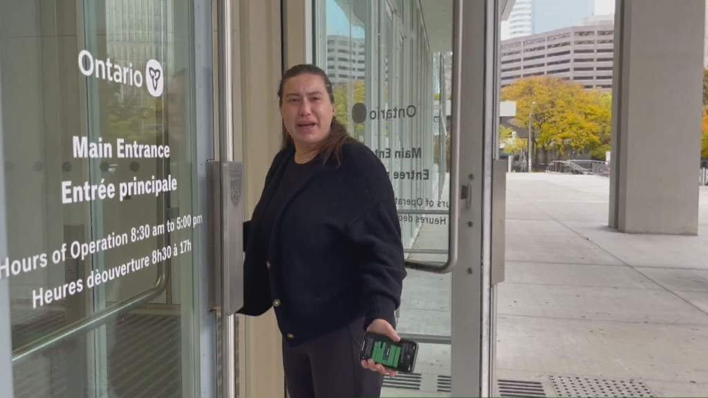 Toronto woman who took dangerous dog to playground where it mauled ...