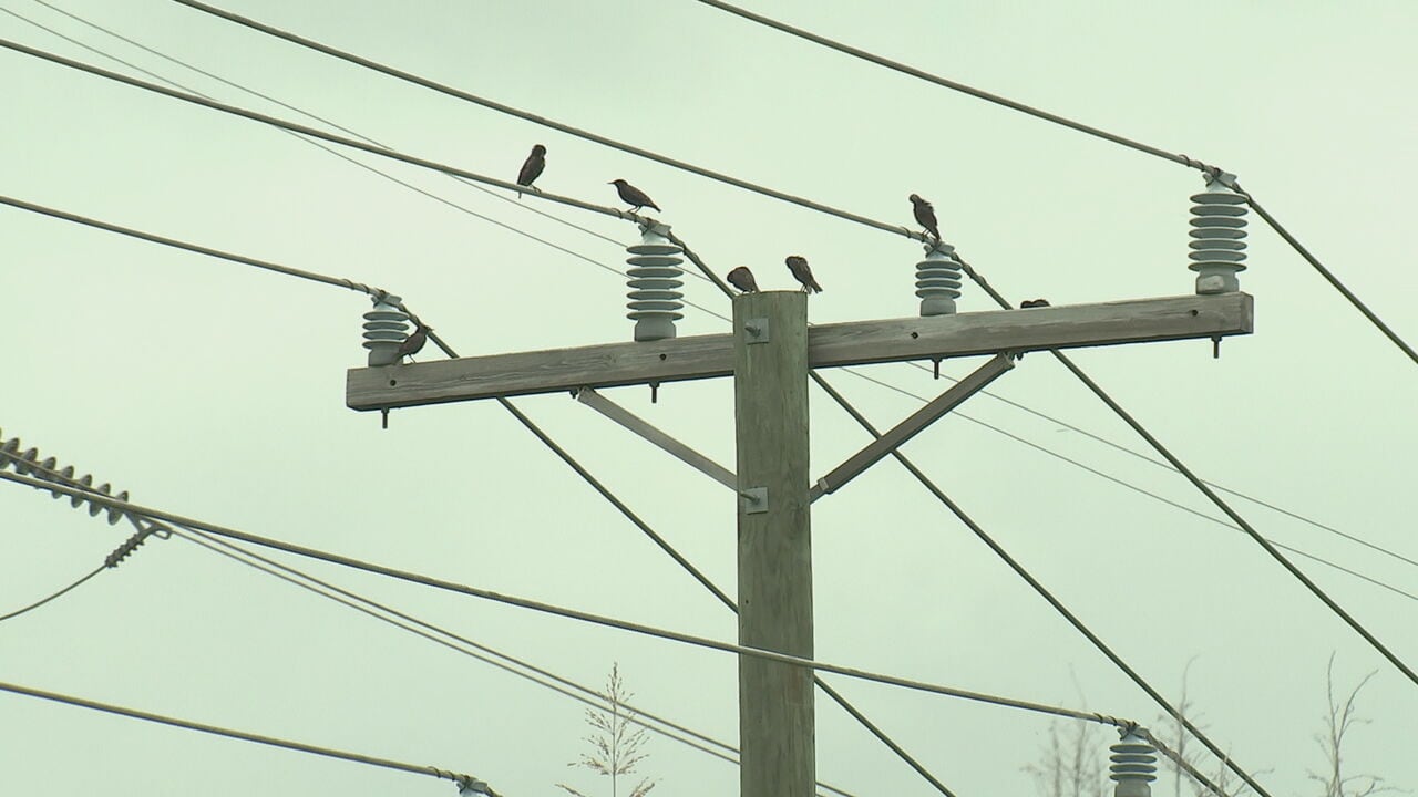 One part of Charlotte seems to lose power more than others: What’s ...