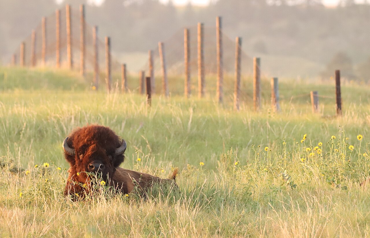 Nebraska’s crown jewel is a 19,000-acre anomaly – here’s where to find it