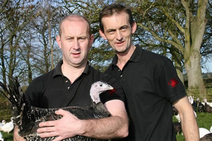 Northern Ireland avian bird flu case in Pomeroy says DAERA: Turkey ...