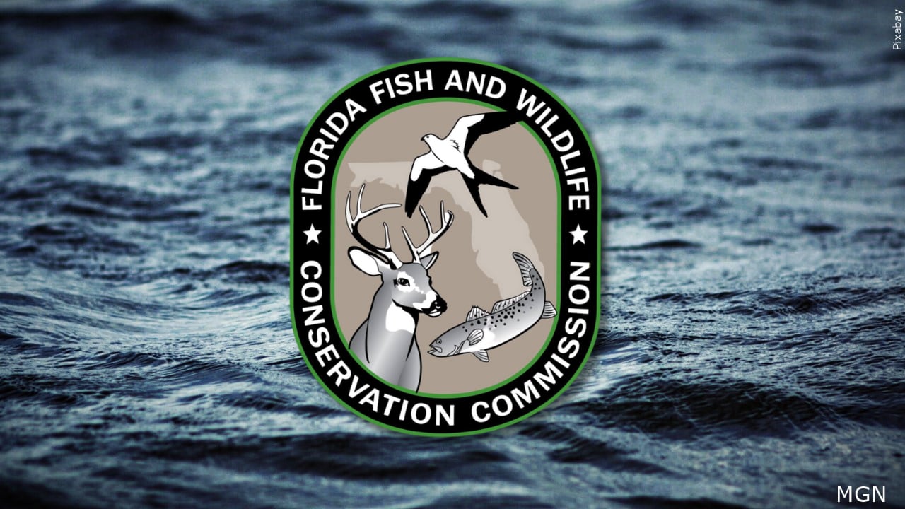 Low concentrations of red tide found offshore of Manatee County