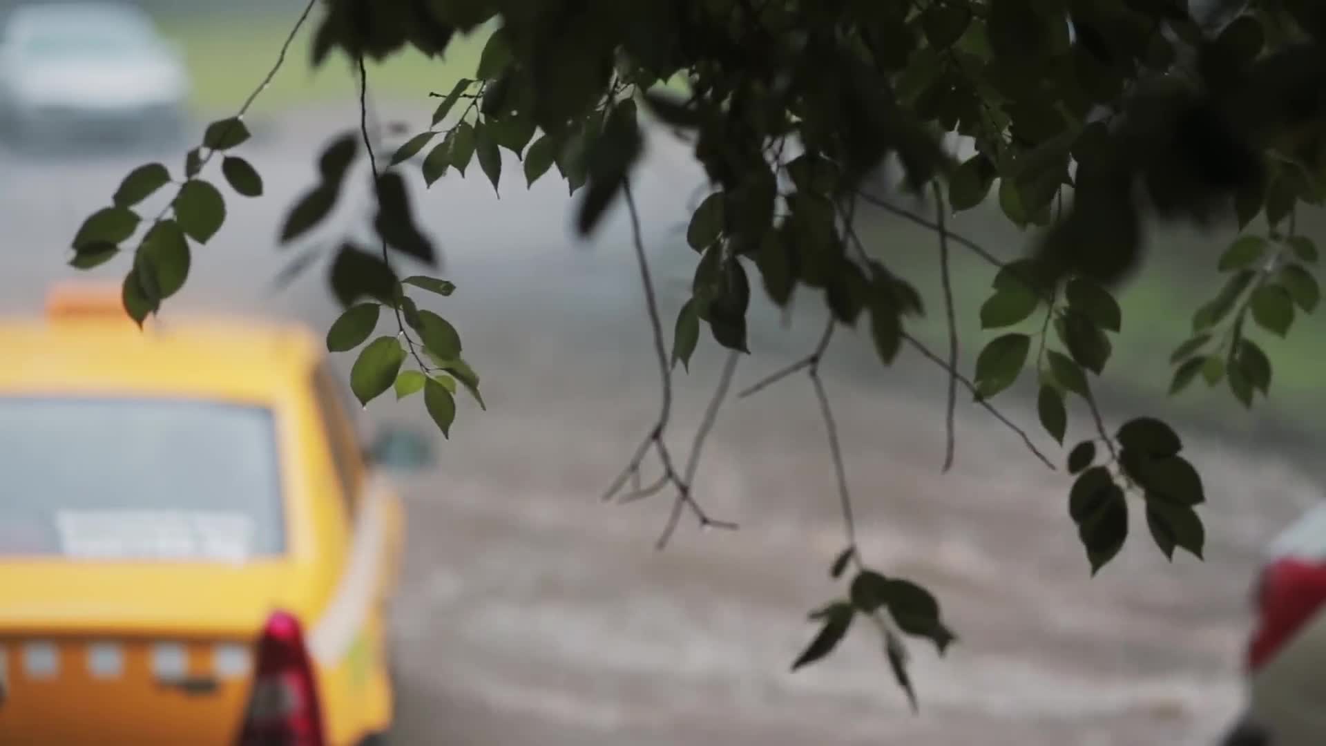 Caribbean cruise watch outs. 7 things the brochures don’t warn you about