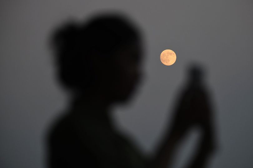 Astrologer says Beaver Moon will bring 'clarity' before entering winter ...