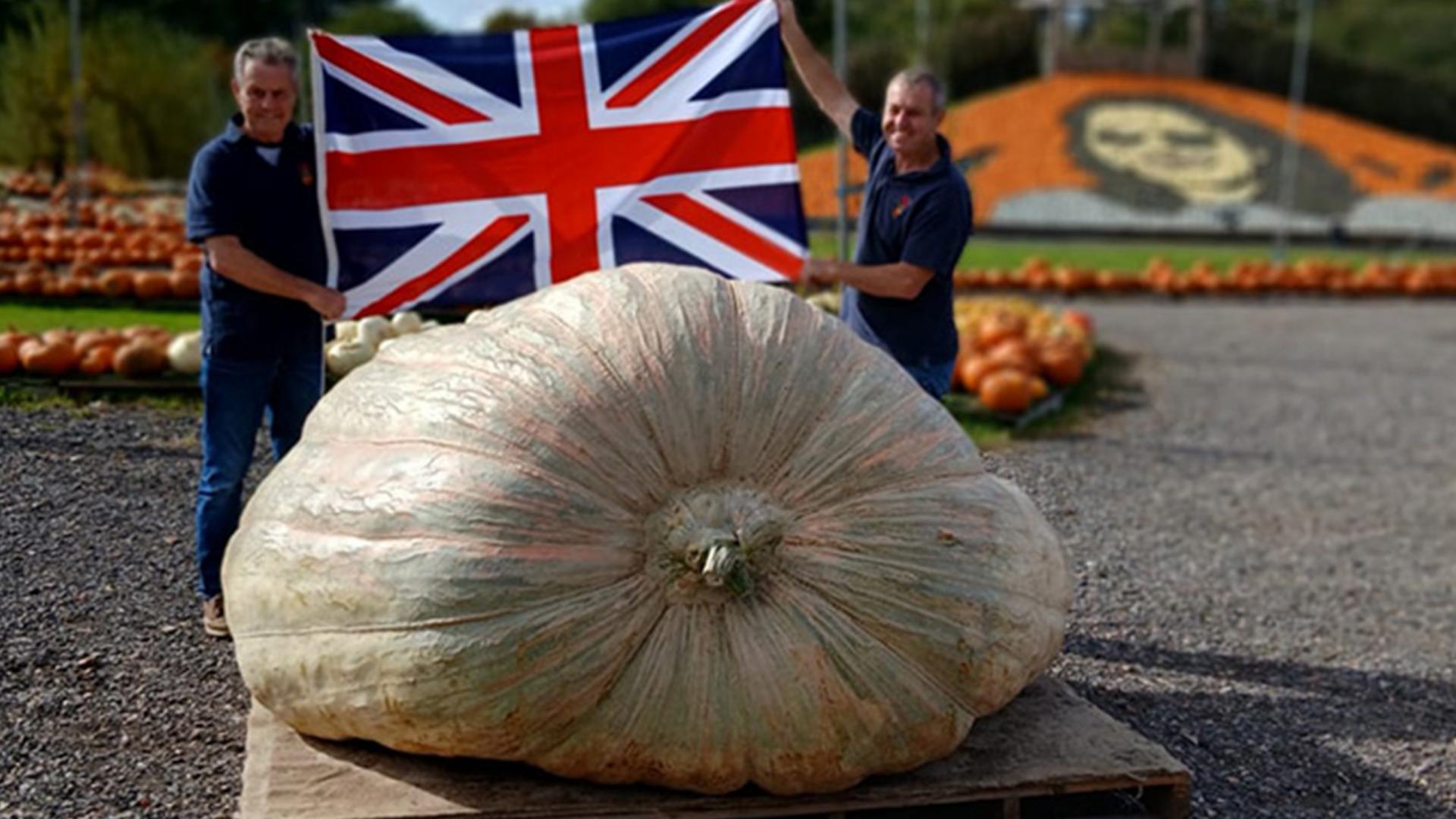 Sunnyfields farm display the heaviest pumpkin and largest squash mosaic