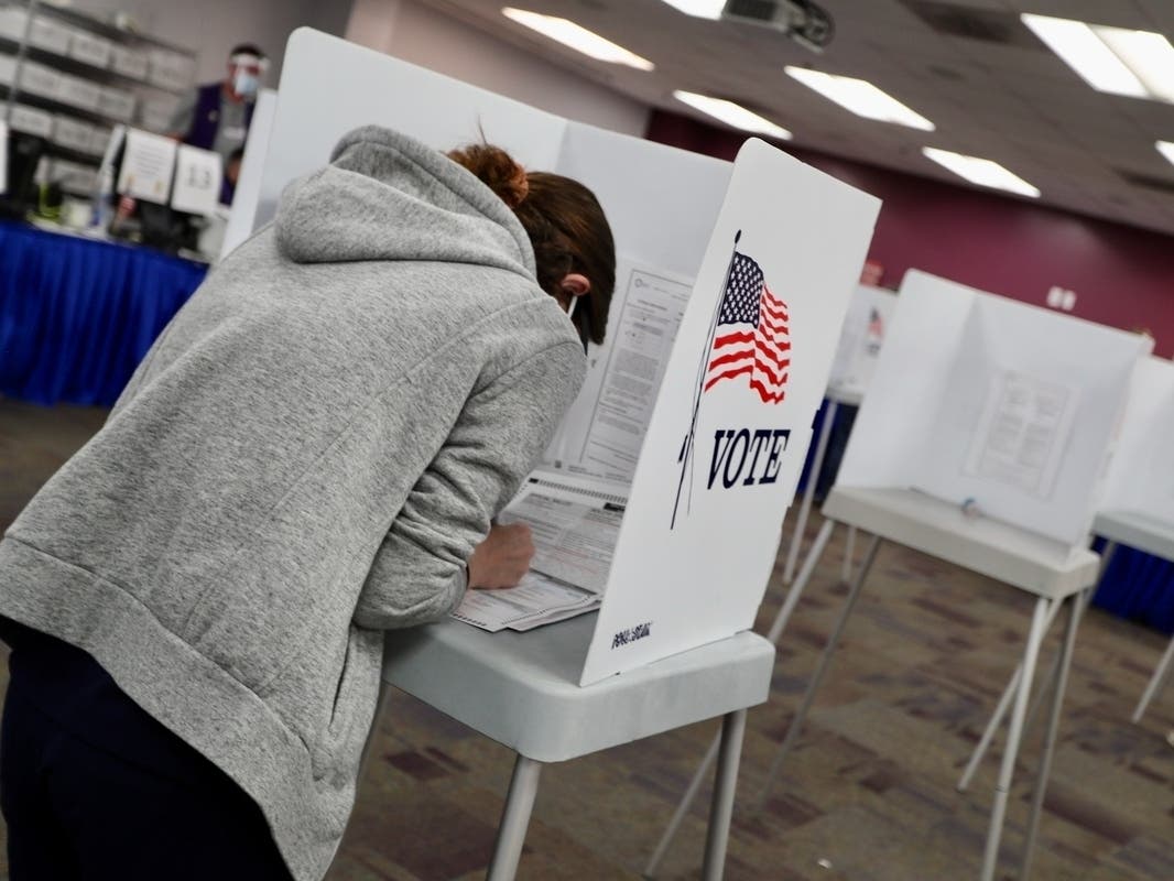 Alexandria 2025 General Election Voter Guide: Candidates, How To Vote