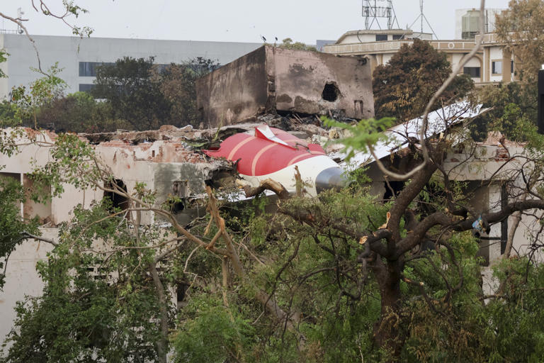 Sole Air India Crash Survivor 'Struggling' and 'Broken' in Aftermath