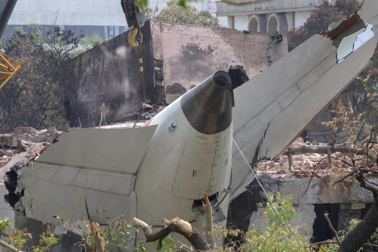 Sole Air India Crash Survivor 'Struggling' and 'Broken' in Aftermath