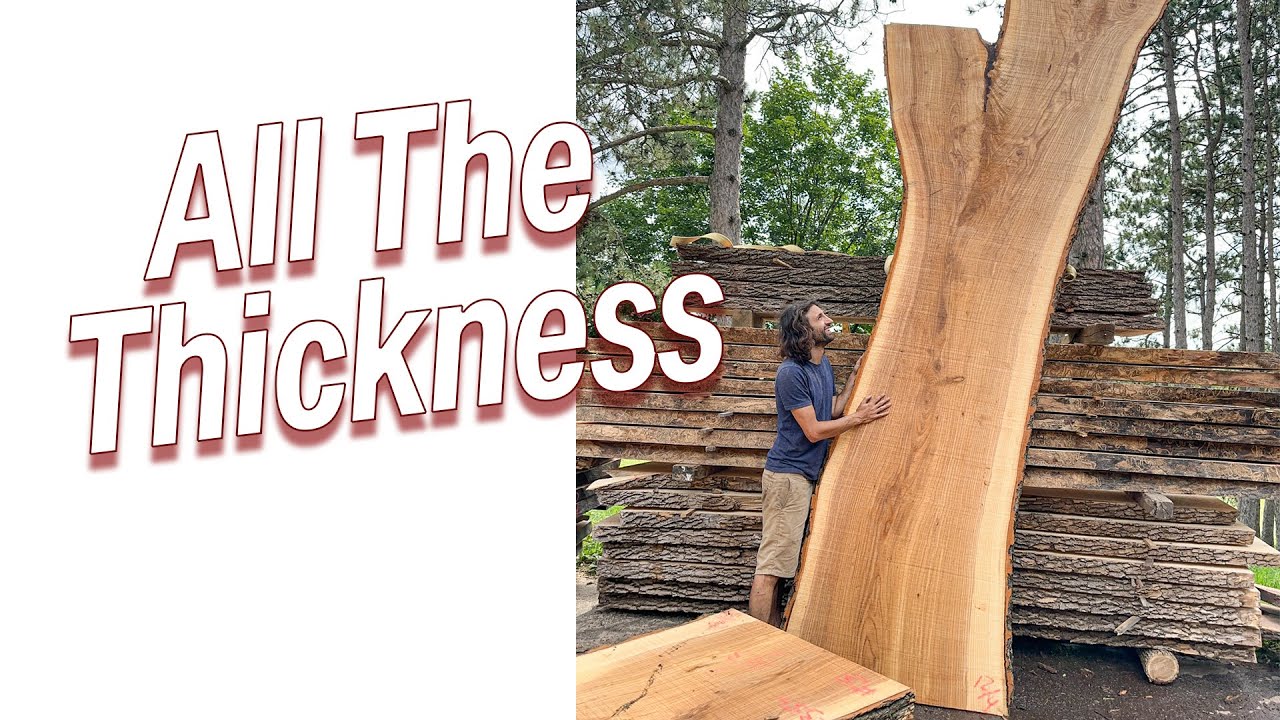 The Big Ash Log with the Thick Butt