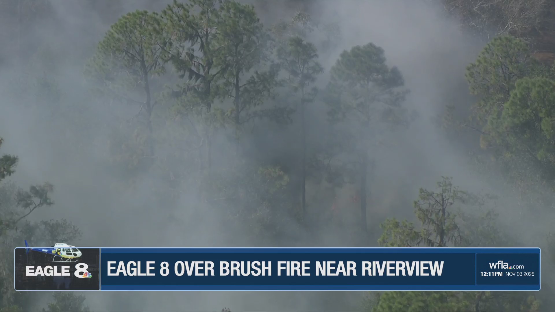 Eagle 8 over brush fire in Riverview