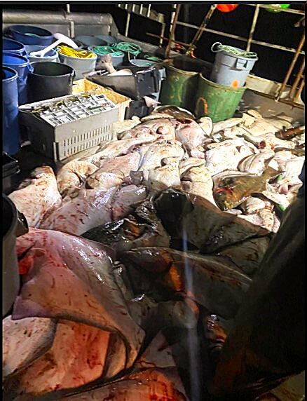 Fisherman gets $76,000 in fines plus fishing ban for illegal catch