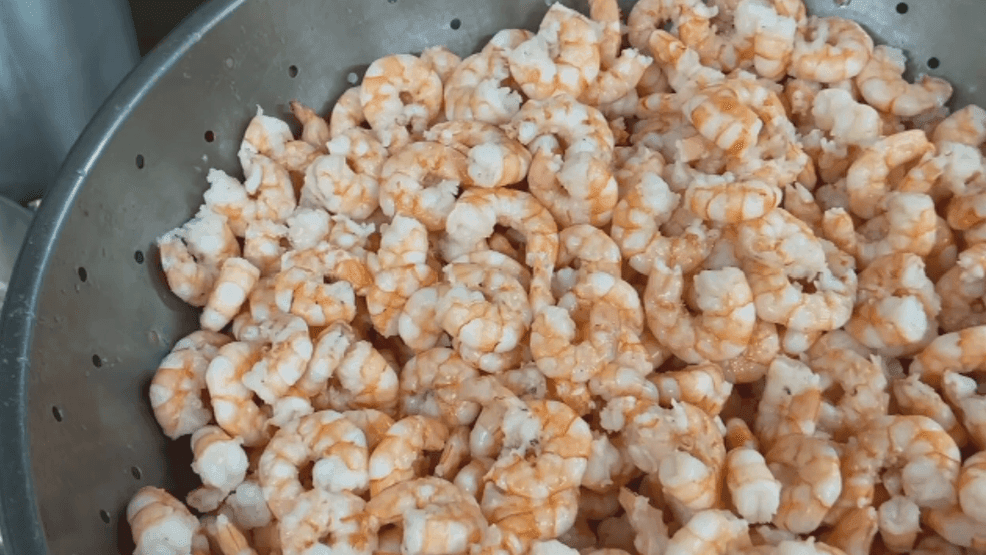 Judge tosses 'Shrimpgate' lawsuit, says it lacked constitutional and ...