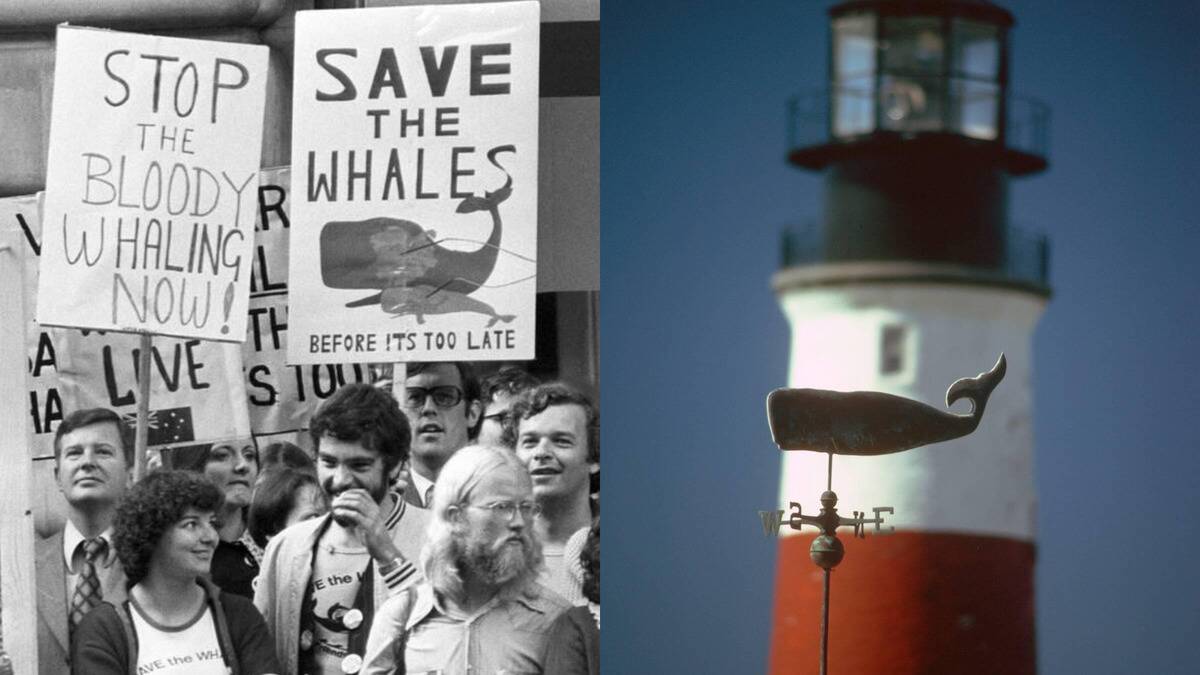 The little-known history of whaling