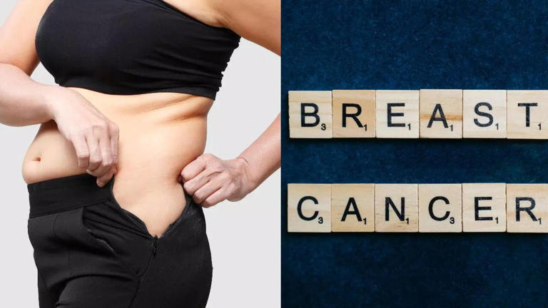 How weight gain after menopause triggers breast cancer, and how losing ...