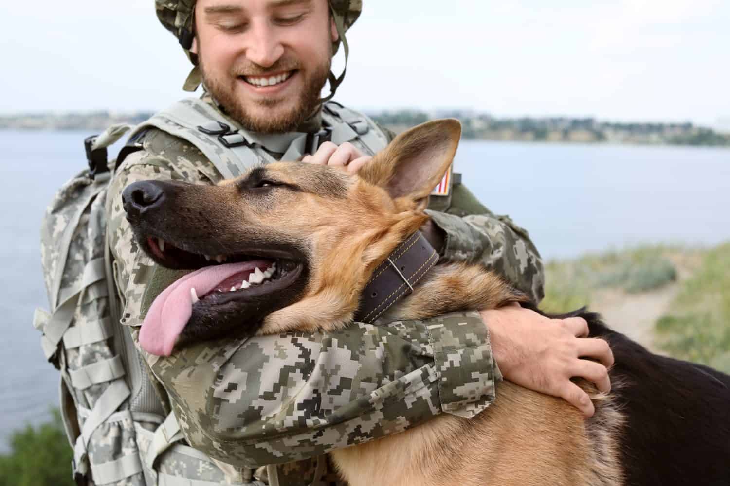 Foreign Military Bases in the U.S. and the Dogs Who Work There