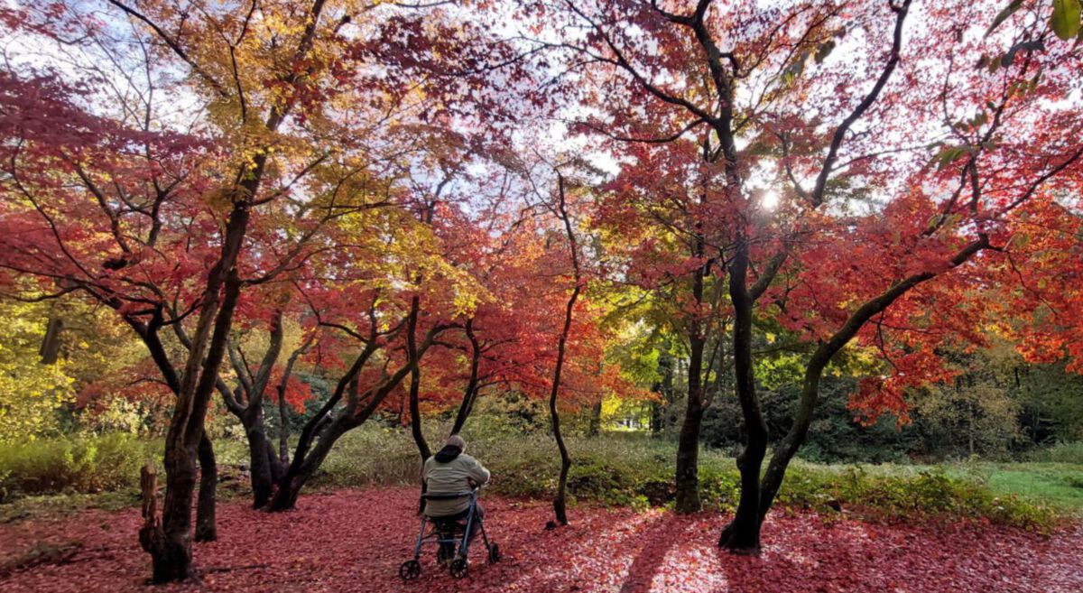 De vele functies van stedelijk groen