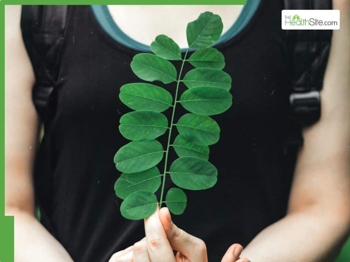Moringa Leaves Benefits: When And How To Eat Them For Best Results
