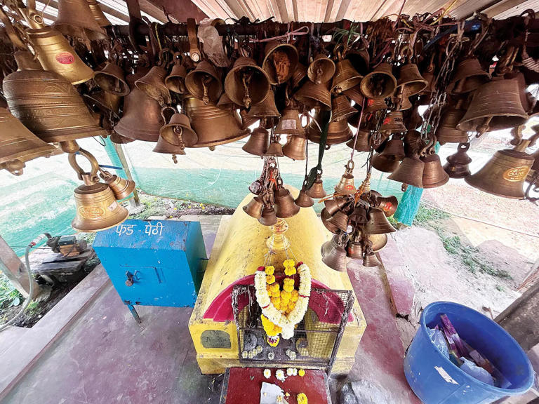 The Guardian Spirits of Goa