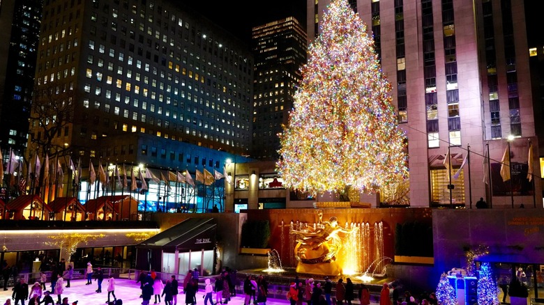 The 2025 Rockefeller Center Christmas Tree Has Been Picked - Here's ...