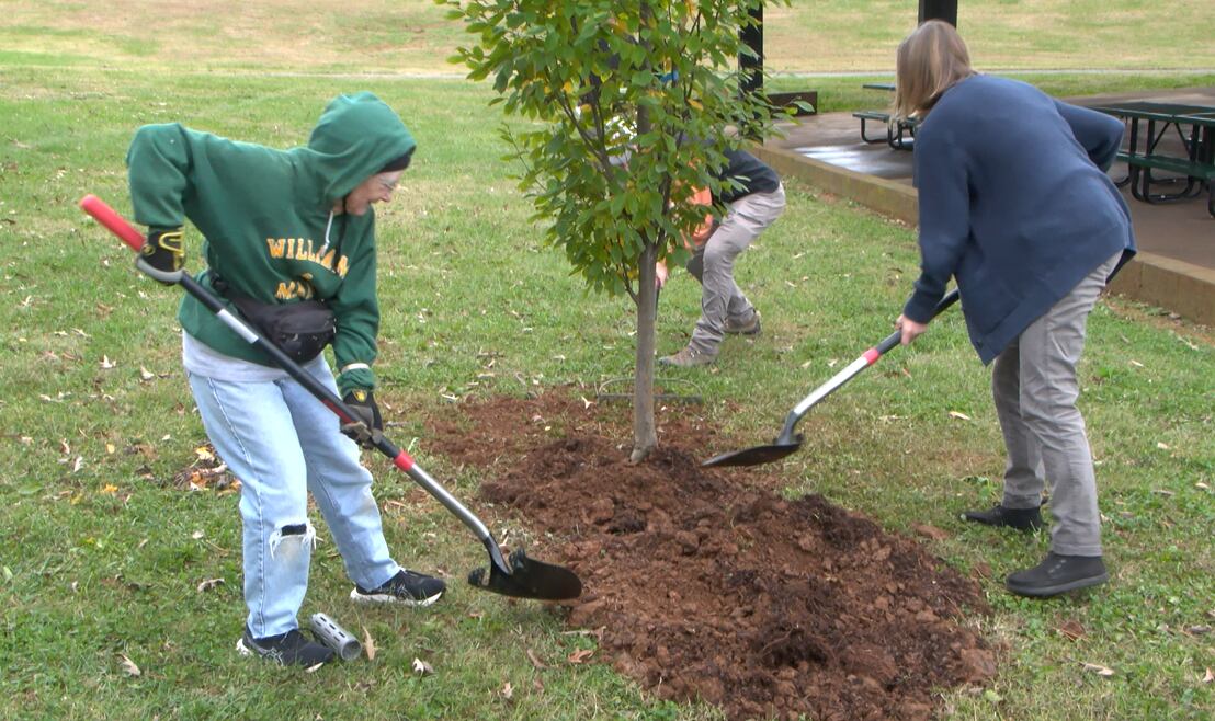 Knoxville celebrates 34 years as a Tree City USA site for Arbor Day