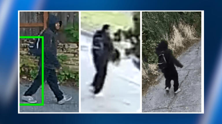 Seattle police: Man bit off elderly woman’s finger during Rainier Beach ...