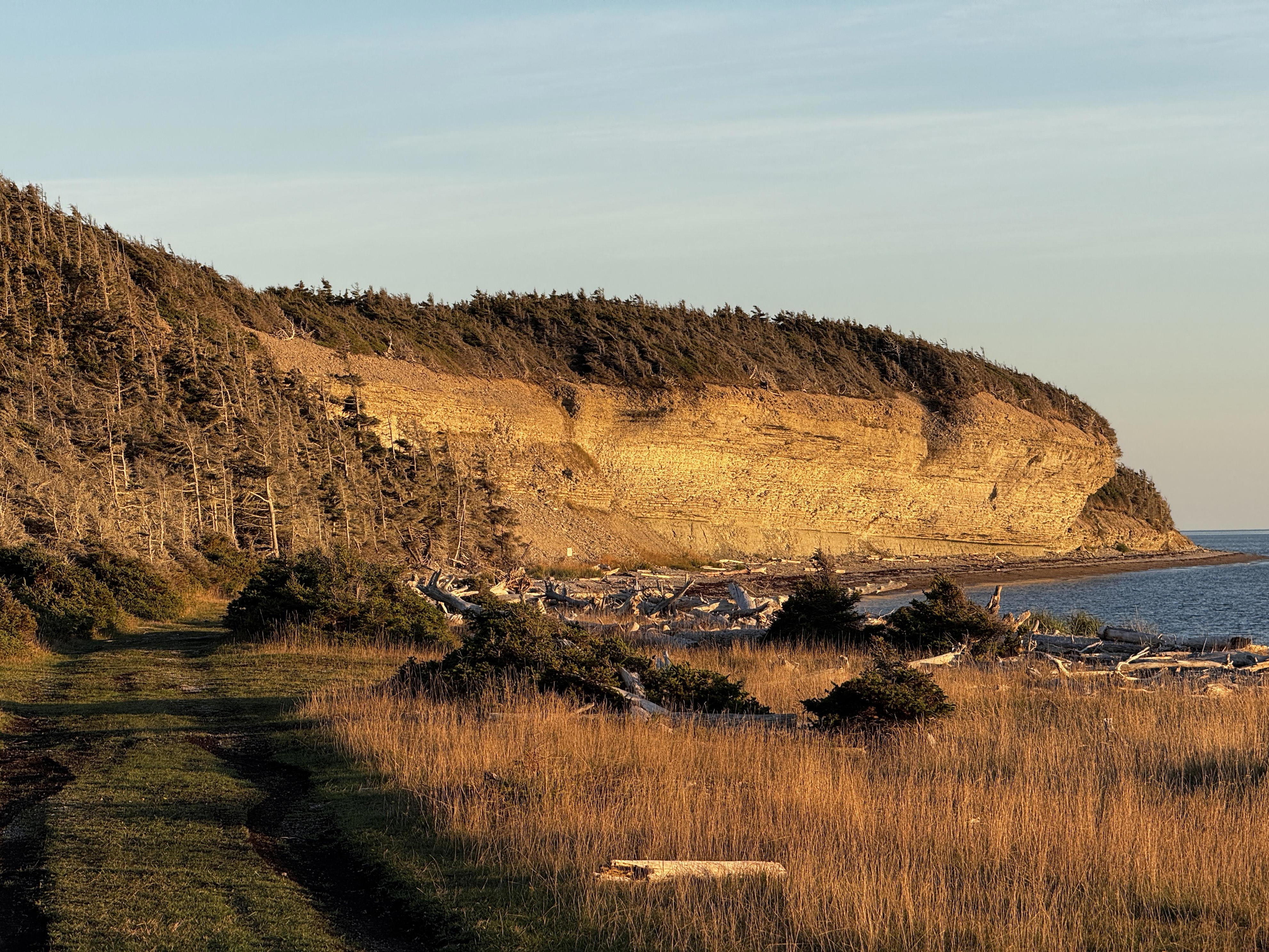 Patrimoine mondial : L’état de conservation d’Anticosti jugé « bon ...