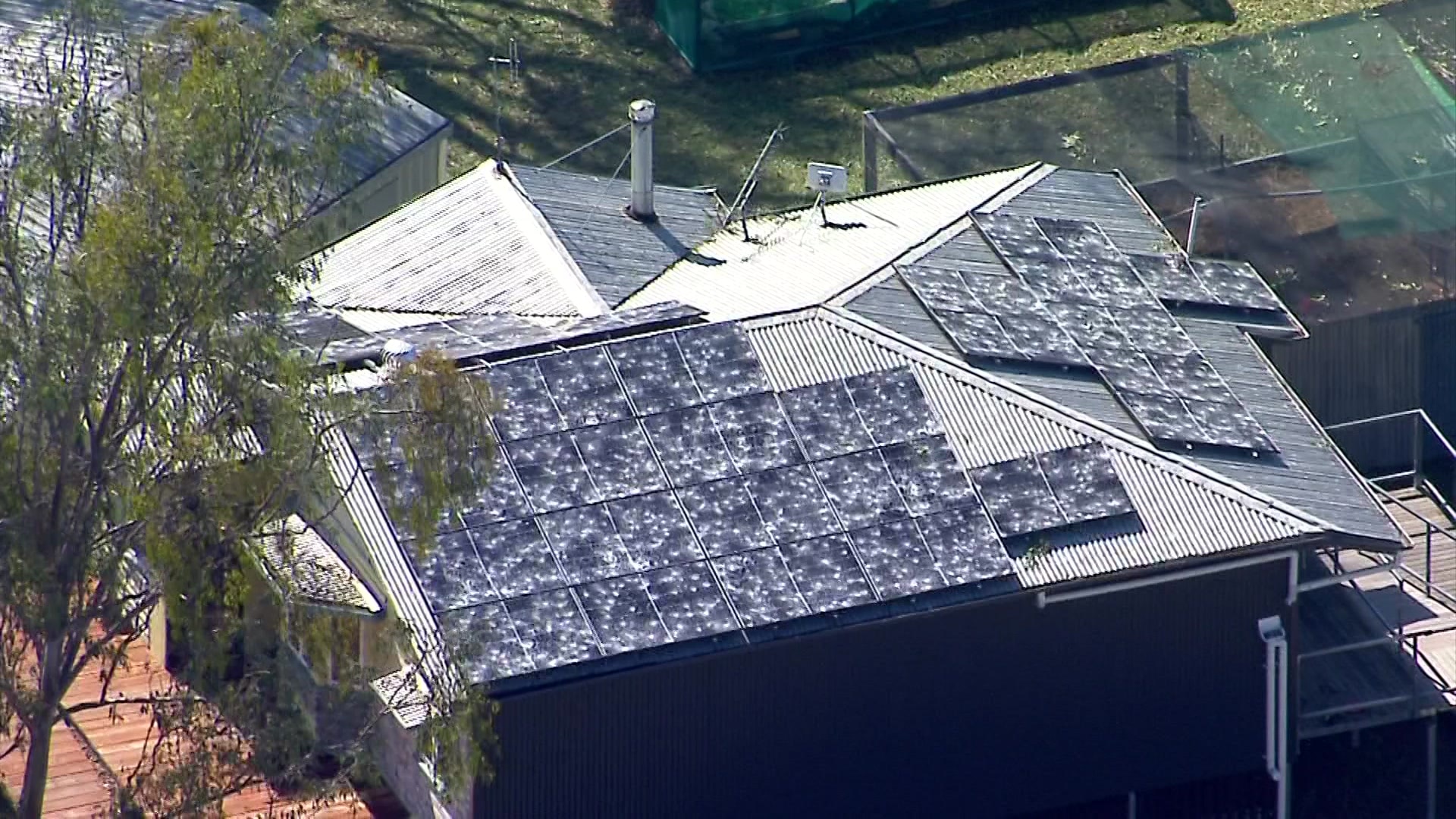 Damaged solar panels can be dangerous. Here's what to do if wild ...