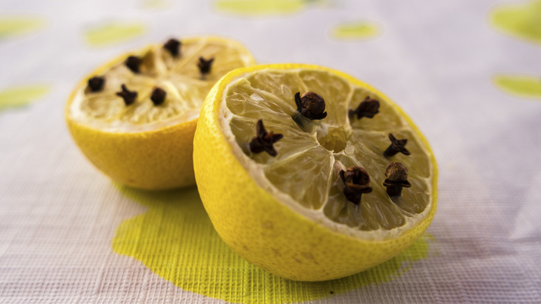 Lemons And Cloves Might Be All You Need To Solve This Common Kitchen ...