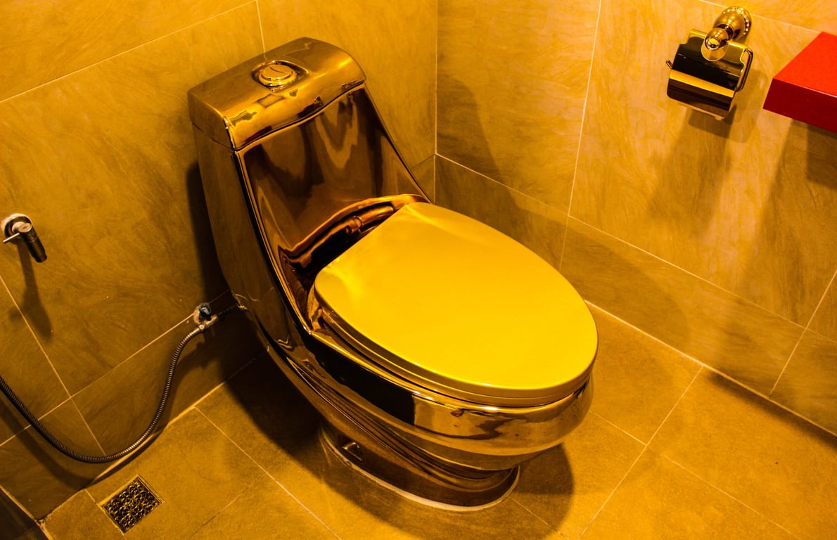 $10 million for a new toilet? Must be made of gold. Oh, wait, it is ...