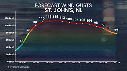 Volatile 'weather bomb' targets Newfoundland with 100+km/h winds ...