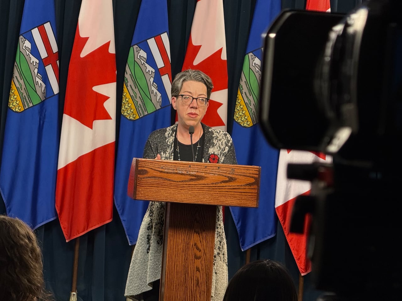Education bill would make early years screening tests law for Alberta ...