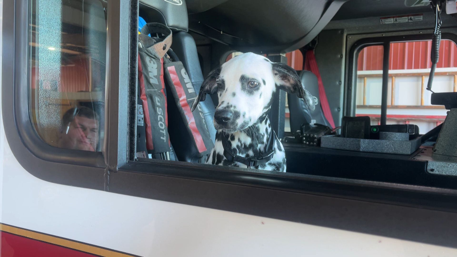 ‘Ruby to the Rescue’: Wiggins Fire Department introduces newest four ...