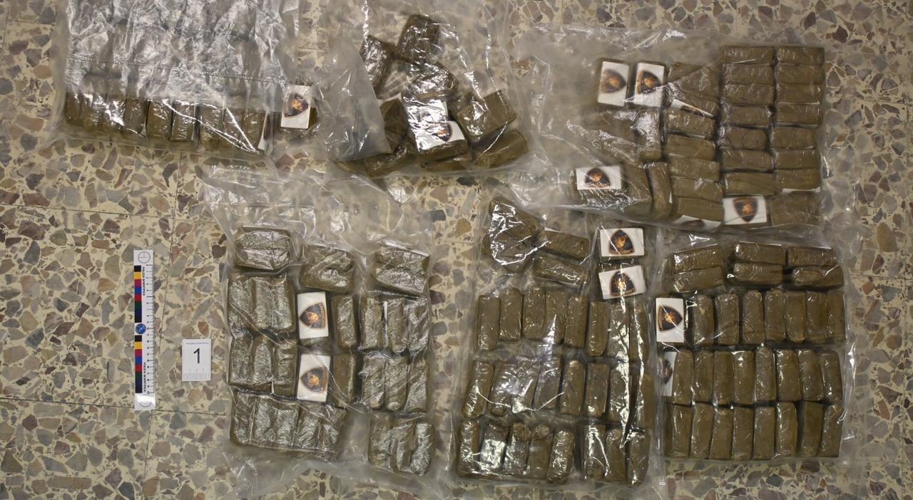 Corridonia, scoperta una centrale dello spaccio: in casa 25 chili di ...