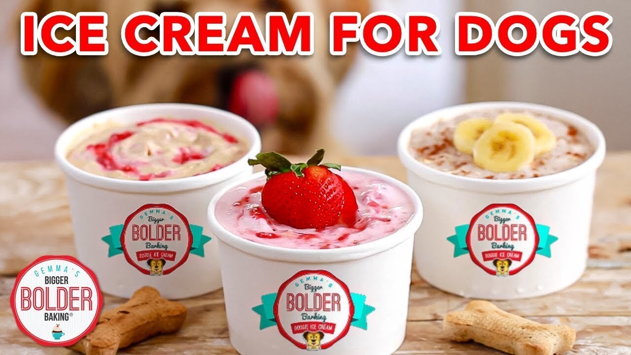 Homemade Ice Cream For Dogs | 3 Easy Recipes